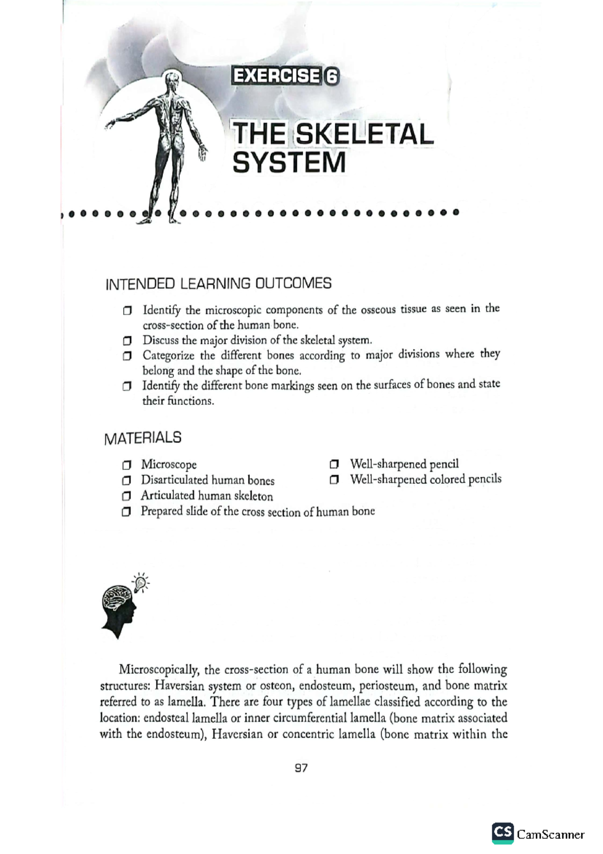 Exercise 6: The Skeletal System Overview and Activities (CS 101) - Studocu