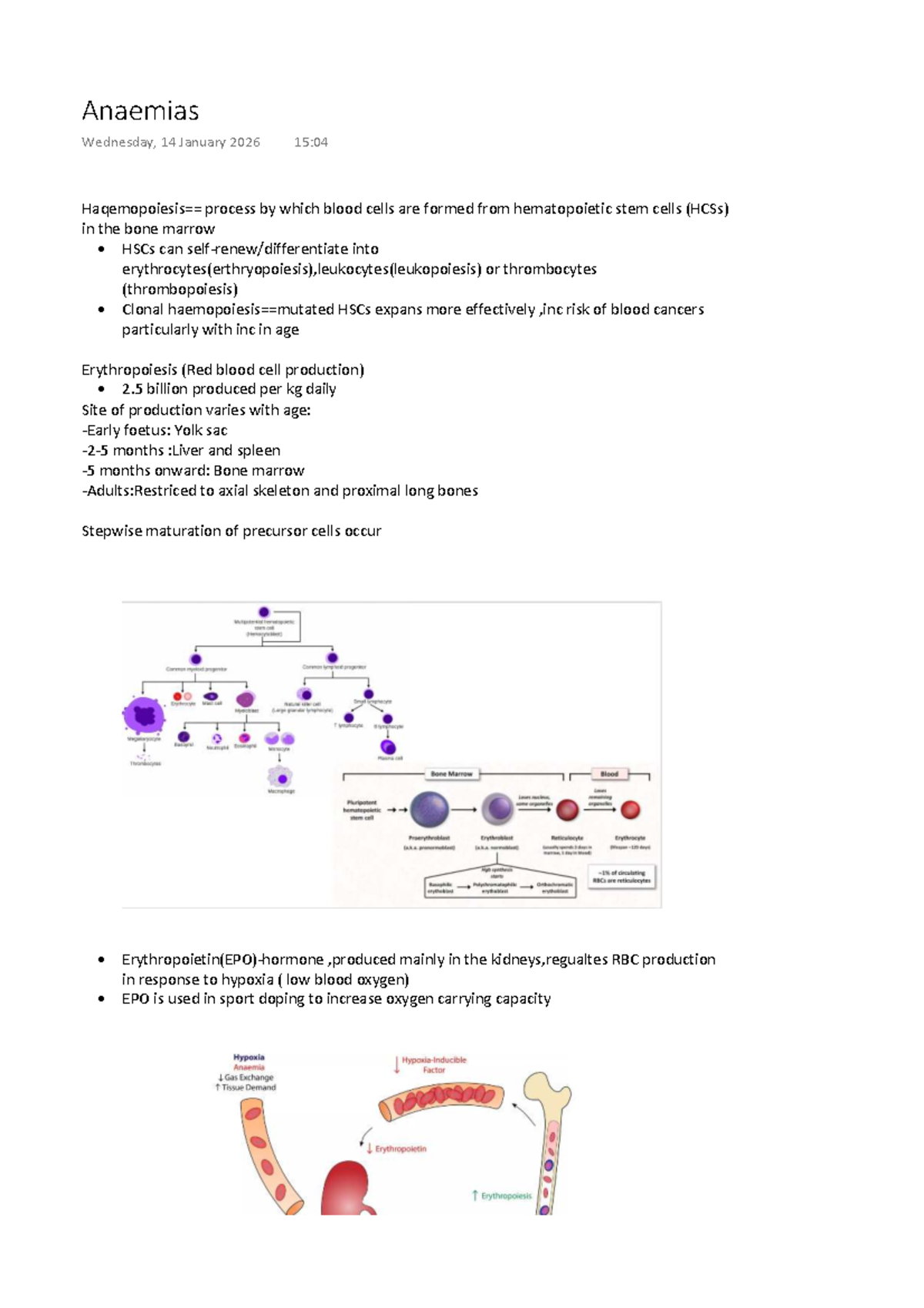 Anaemias Overview: Types, Causes, and Management Strategies - Studocu