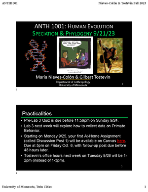 Understanding Early Hominins: Evolution, Tools, and Environment ...