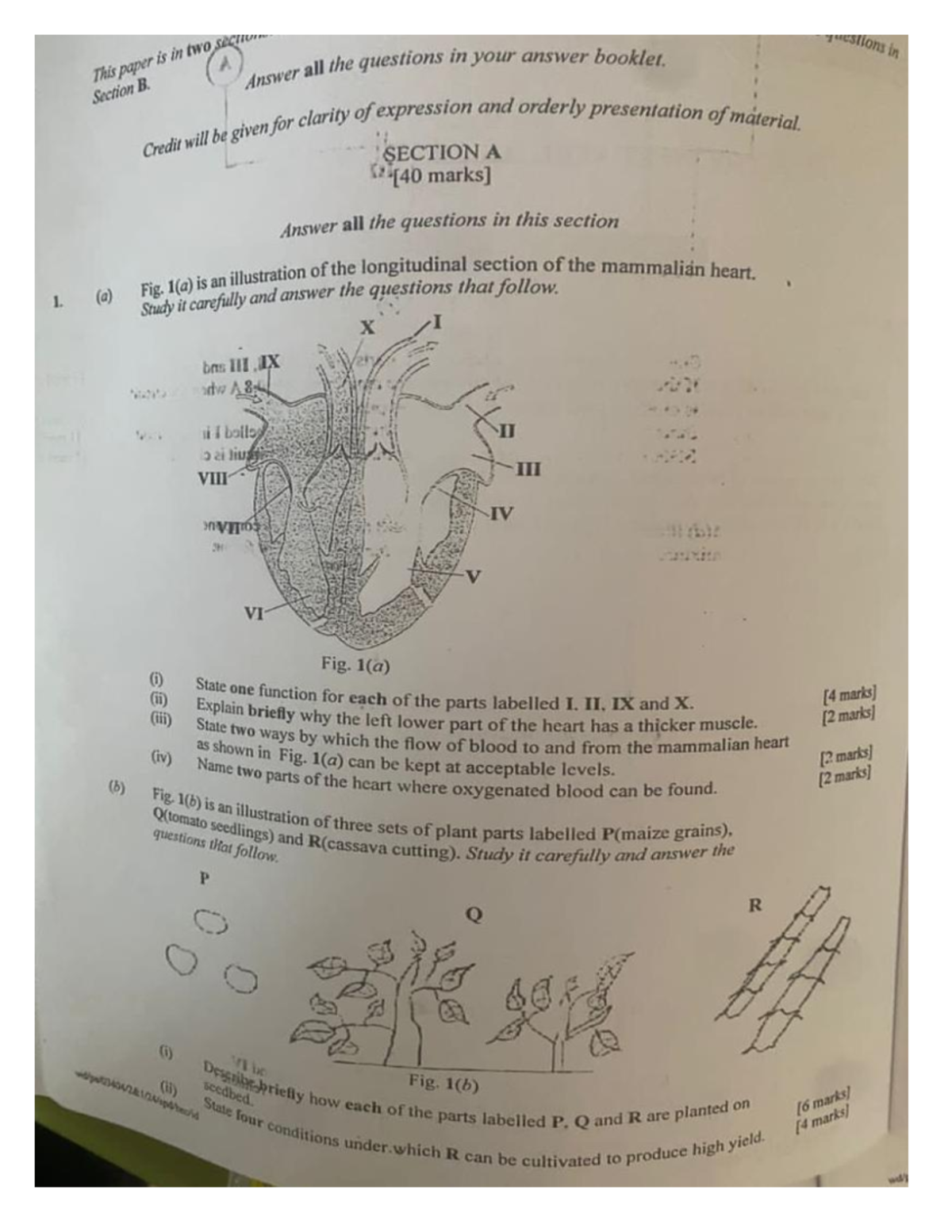 BECE 2024 Integrated Scince - A the questions in your answer booklet ...