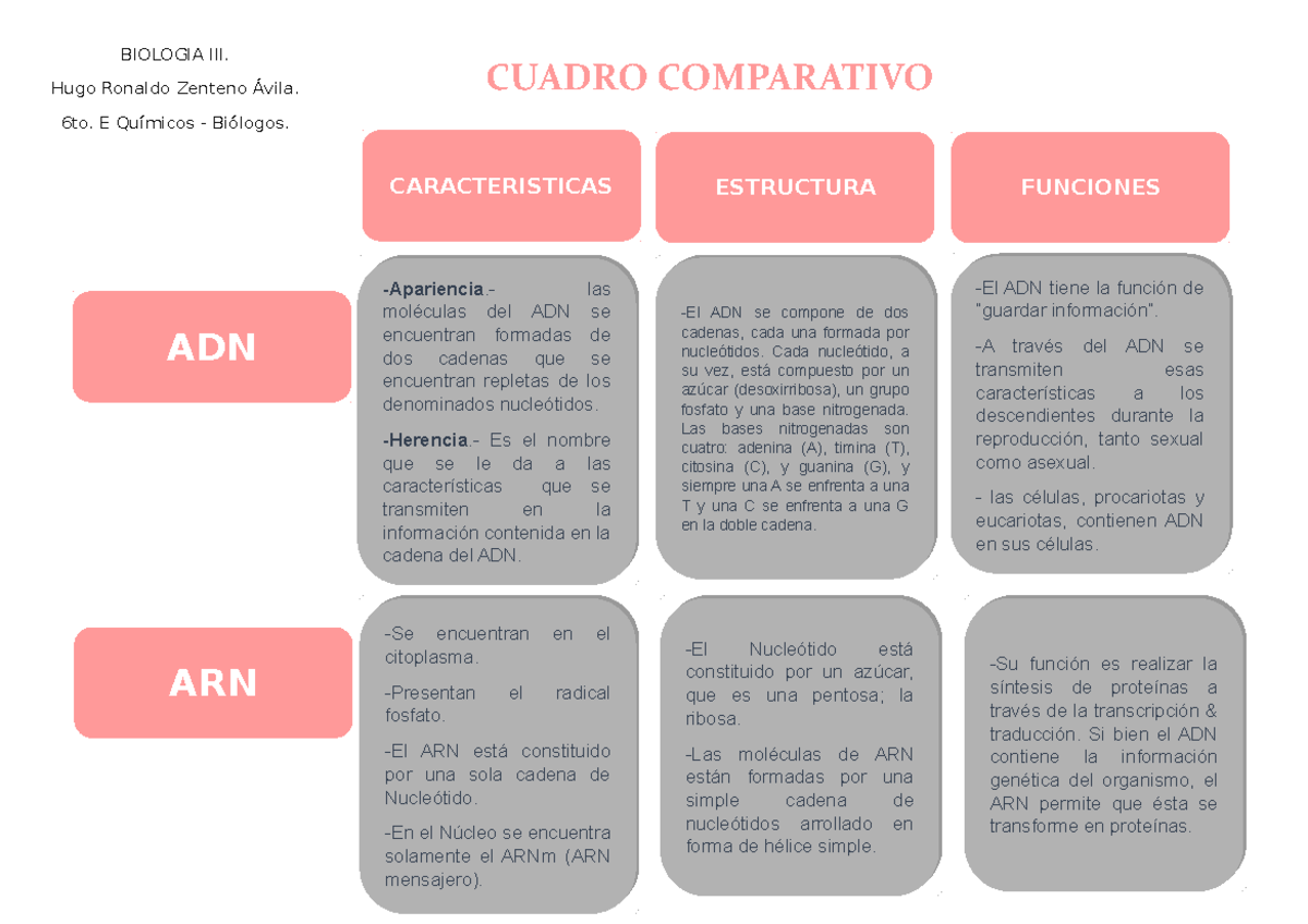 Diferencias Entre Adn Y Arn Cuadro Comparativo Notas De Biologa