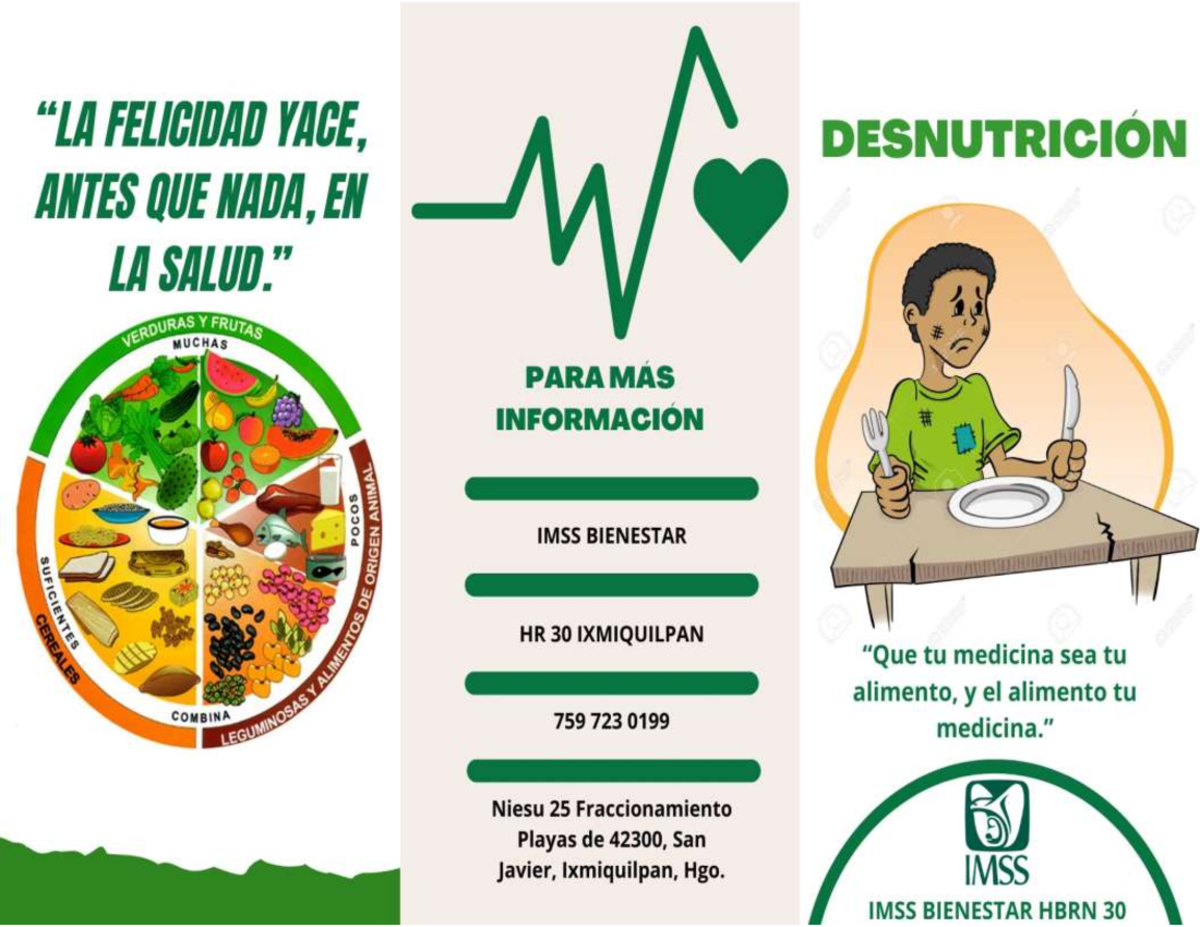 Tríptico sobre Desnutrición en IMSS: Información y Recursos - Studocu