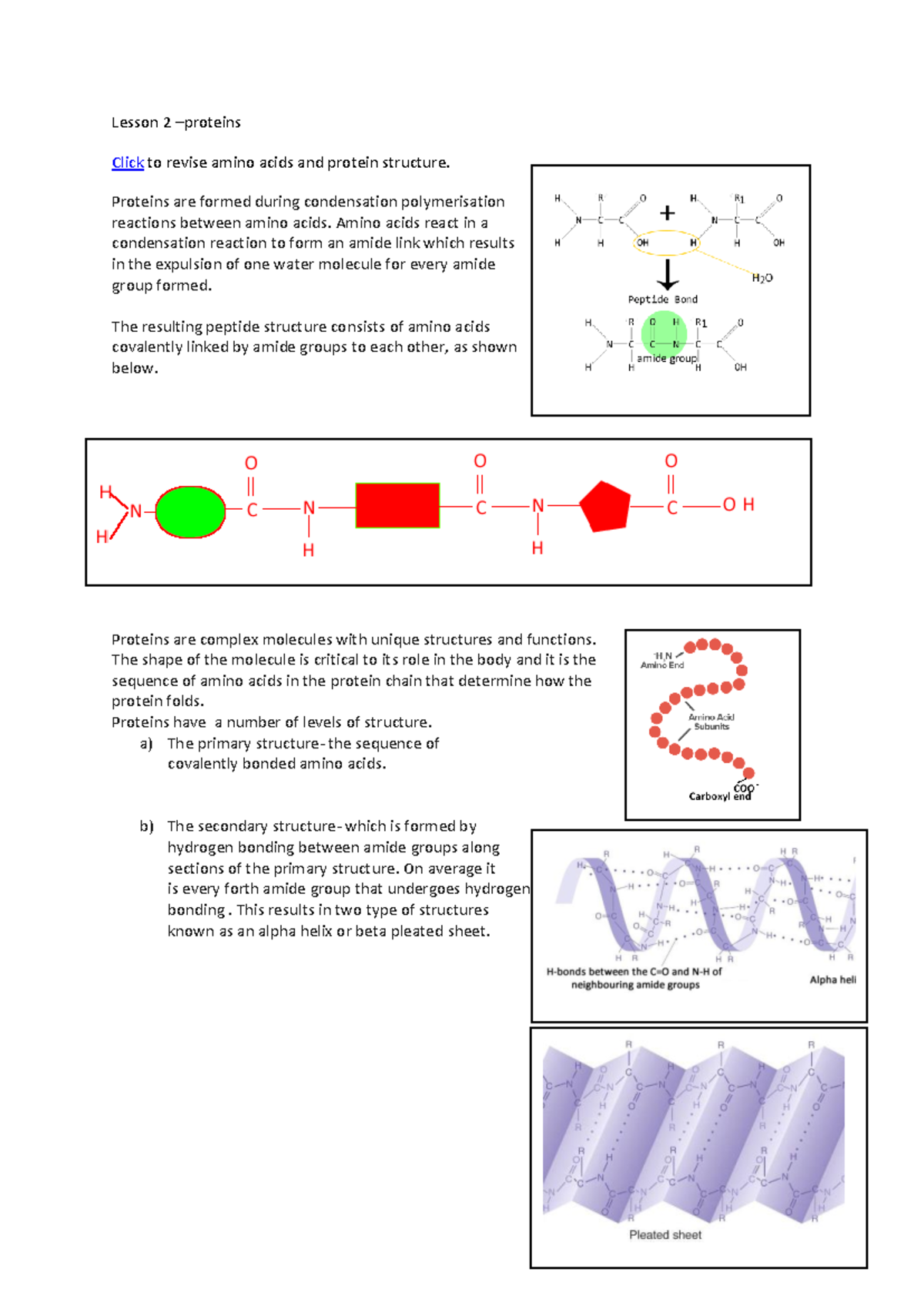 Proteins Worksheet - Lesson 2 – proteins Click to revise amino acids ...
