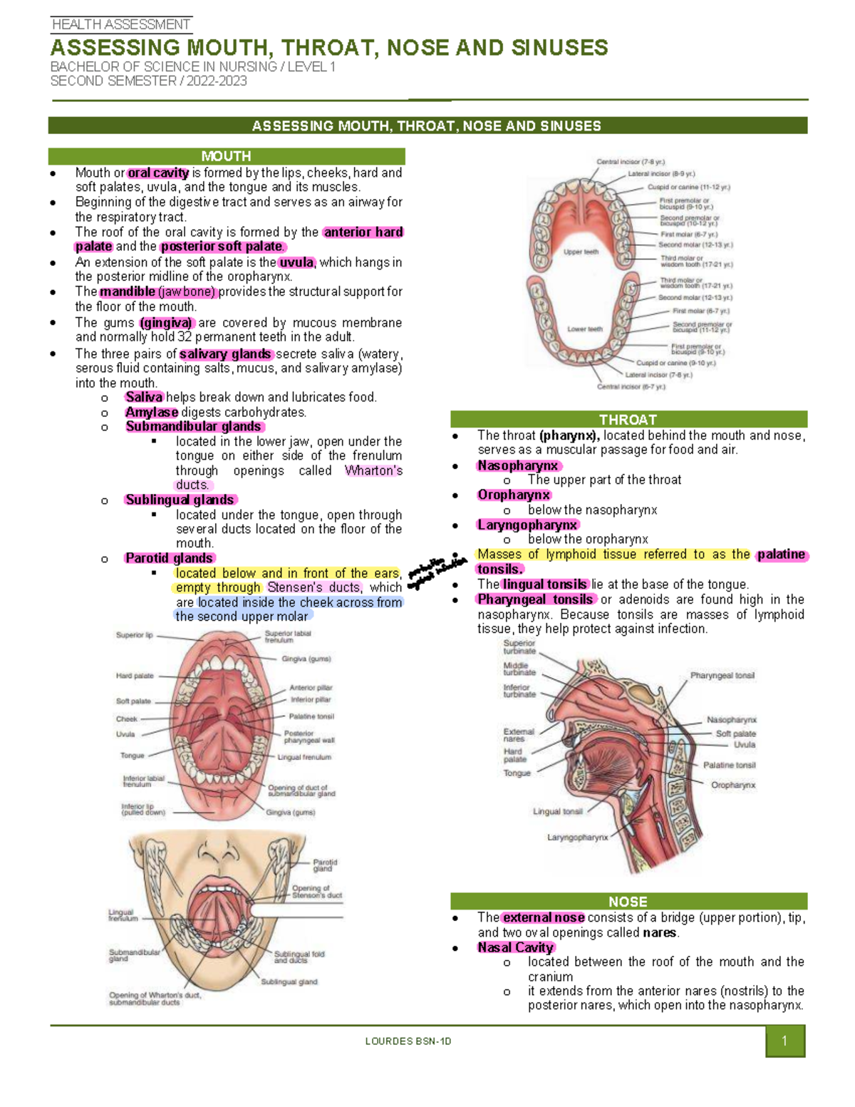HEALTH ASSESSMENT: MOUTH, THROAT, NOSE & SINUSES (BSN Level 1) - Studocu