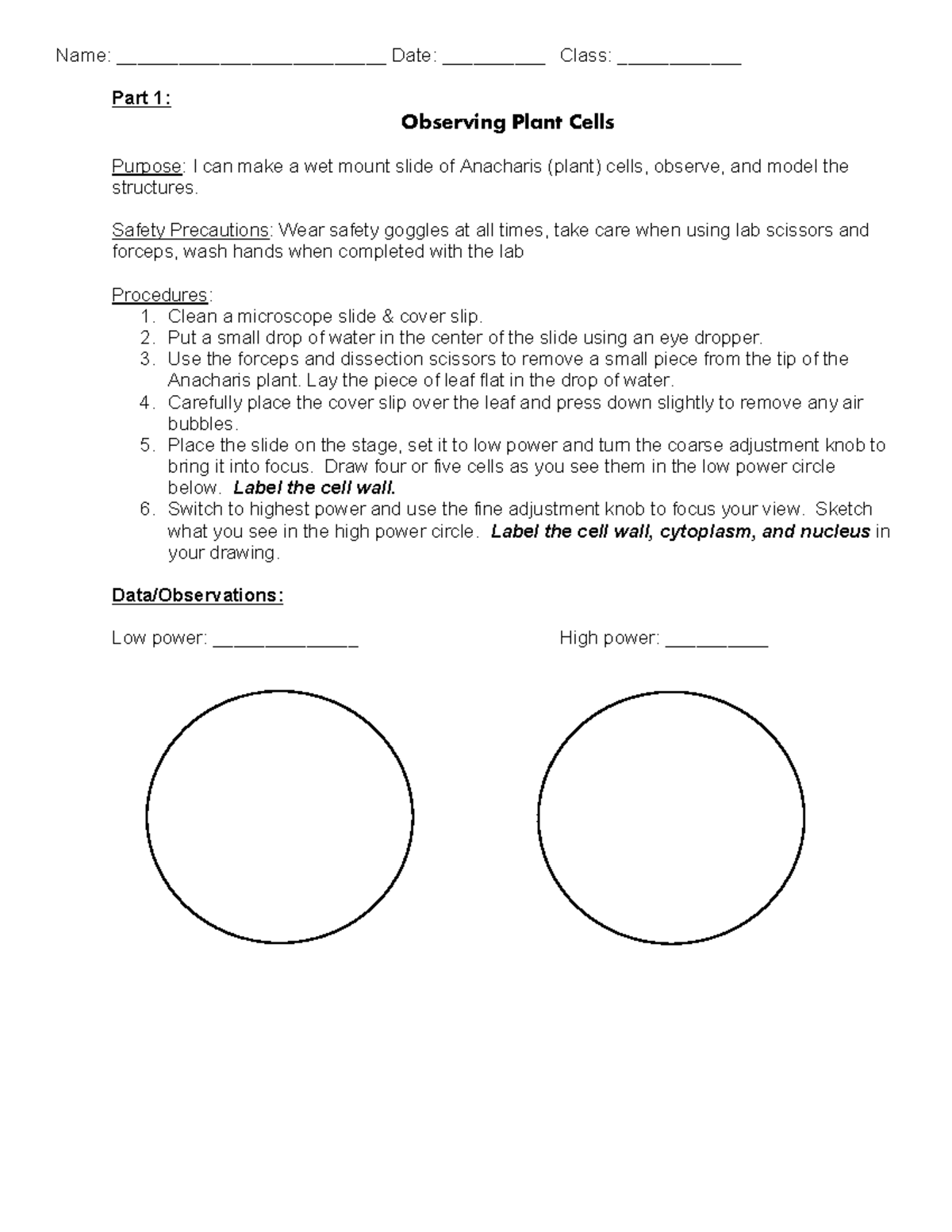 Cell observation worksheet - Name: __________________________ Date ...