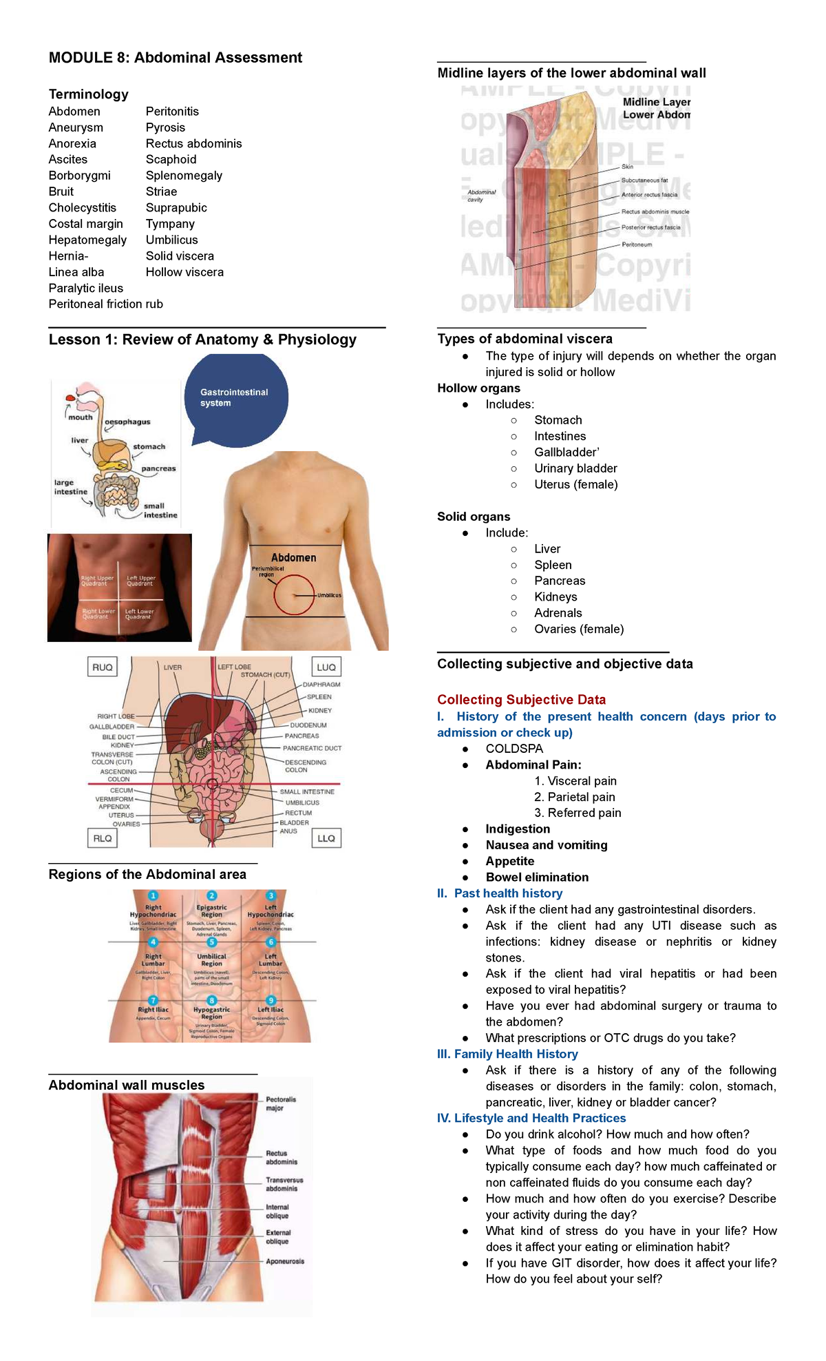 MODULE 8: Abdominal Assessment - Key Terminology & Techniques - Studocu