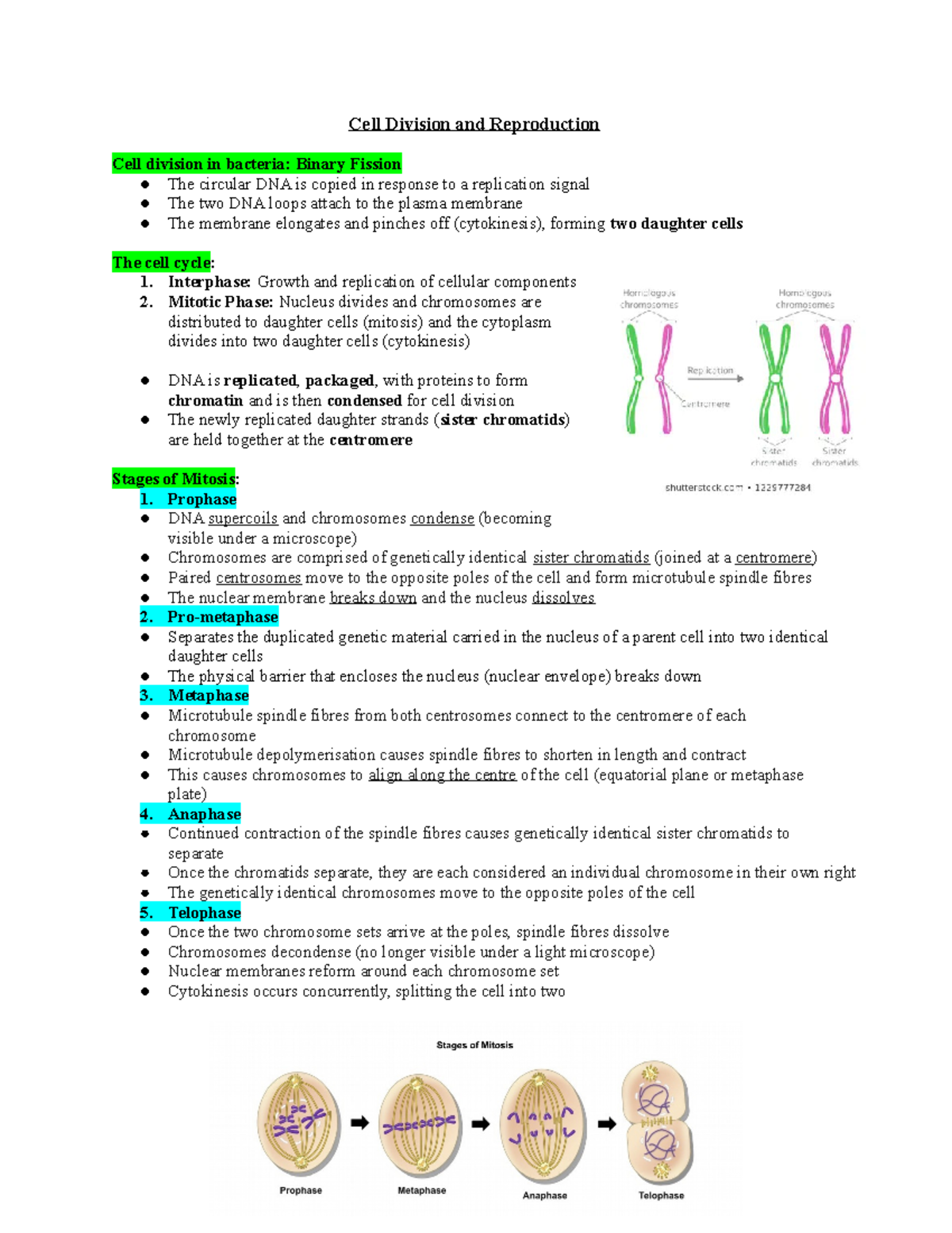 Lec 16 Notes: Cell Division & Reproduction in Mitosis & Meiosis - Studocu