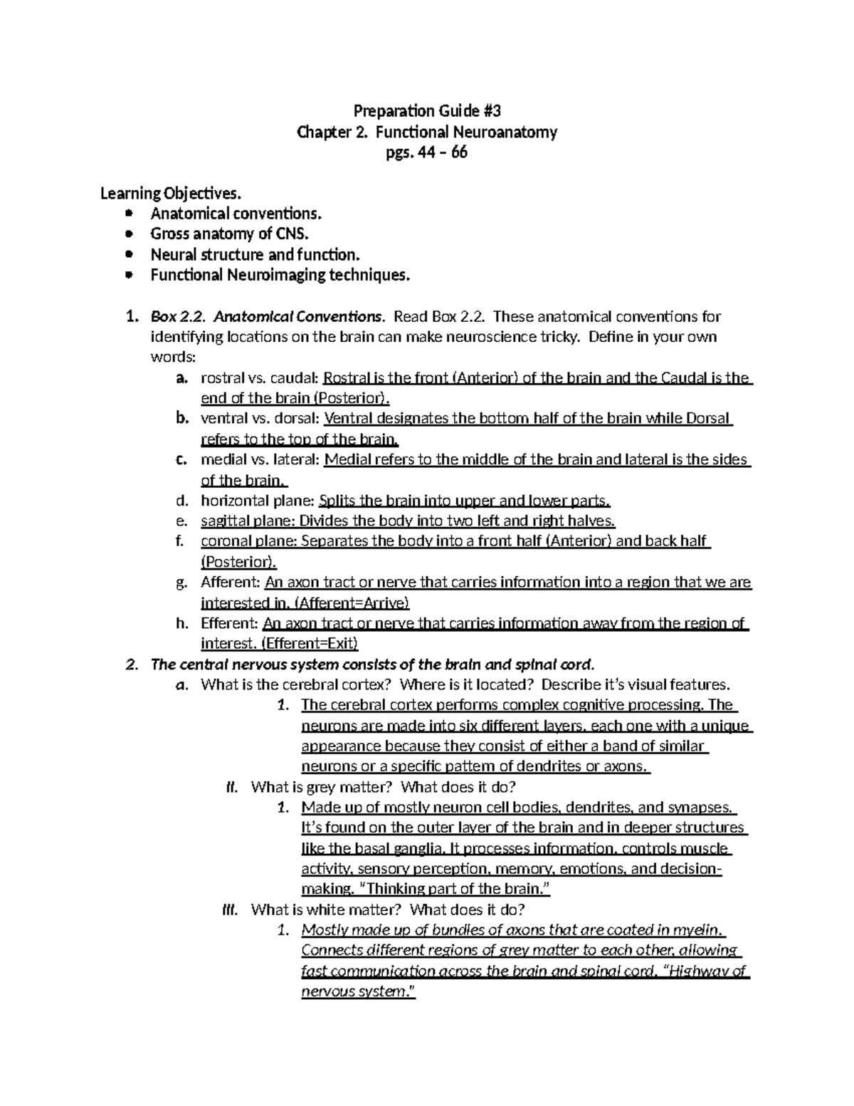 Functional Neuroanatomy Overview: Structures & Roles in CNS (Chapter 2) - Studocu