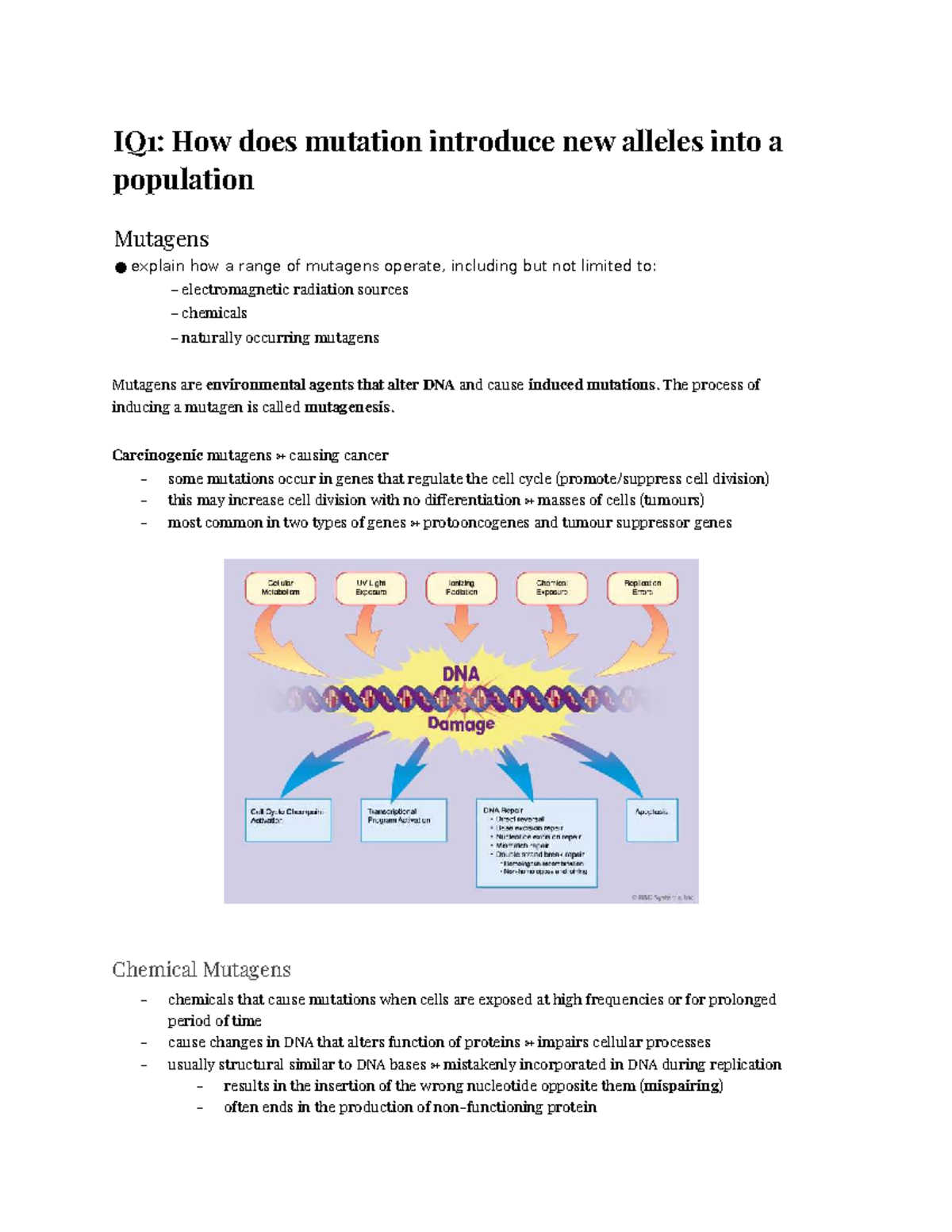 YEAR 12 Biology Mod 6: Mutations, Genetic Variation & Biotechnology ...