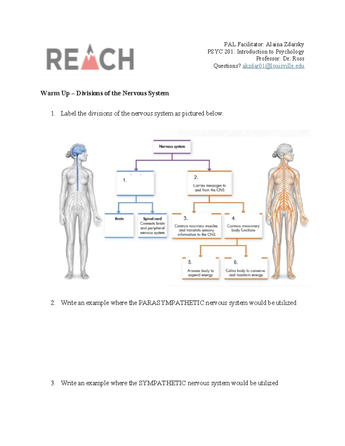 PSYC 201: Neurological Functions & Sensory Systems Study Notes - Studocu