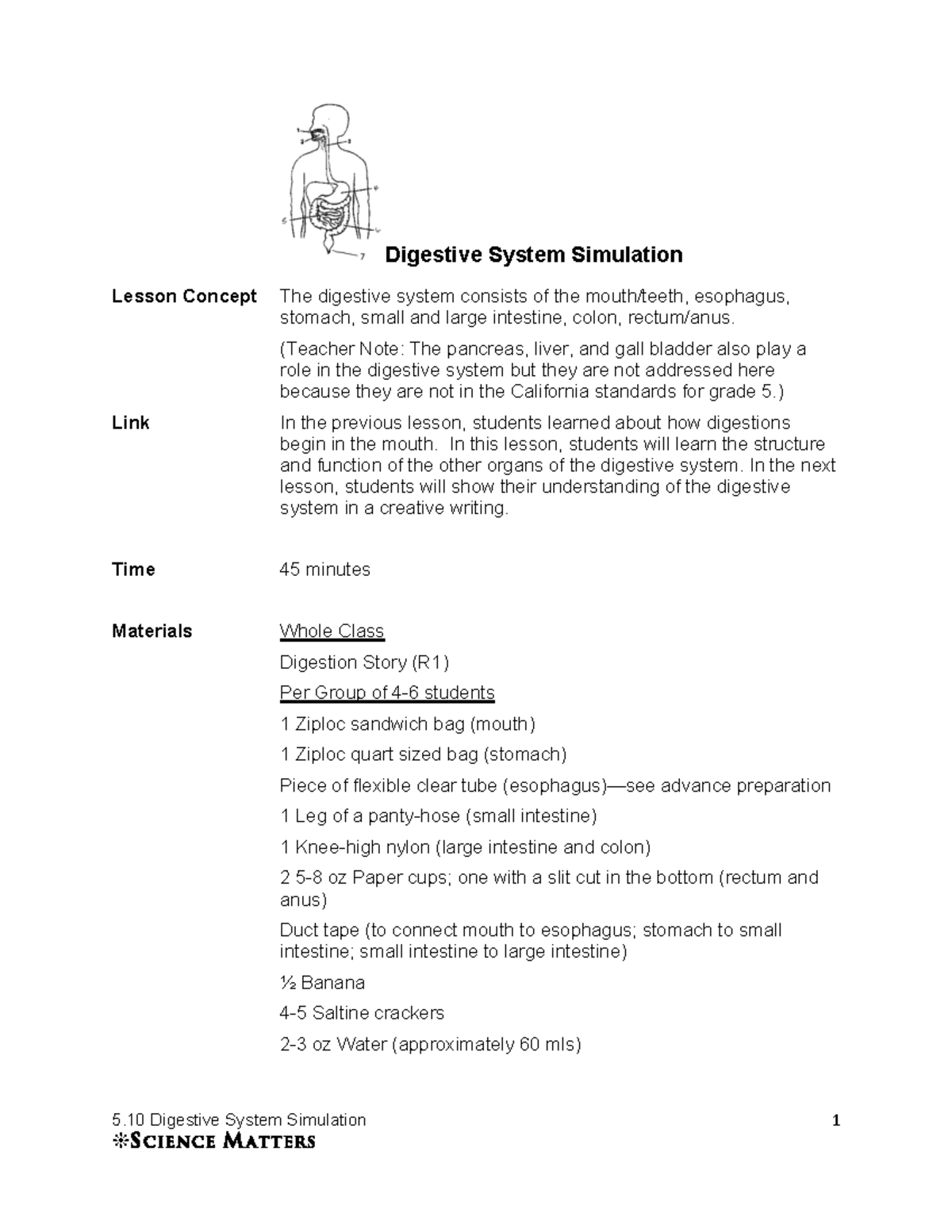 5.10 Digestive System Simulation Lesson for Hands-on Teaching - Studocu