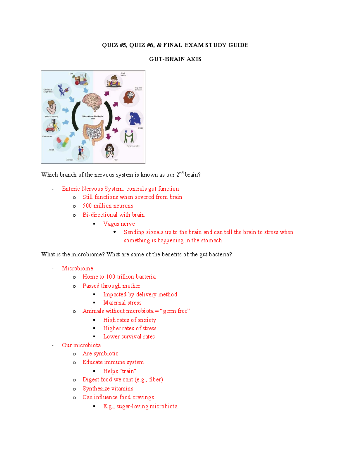 Study Guide #3: Bio Psychology Final Exam Review (Sp25) - Studocu