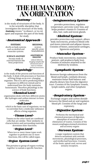 Red cross history - RC History RED CROSS JEAN HENRI DUNANT (1859 1910 ...