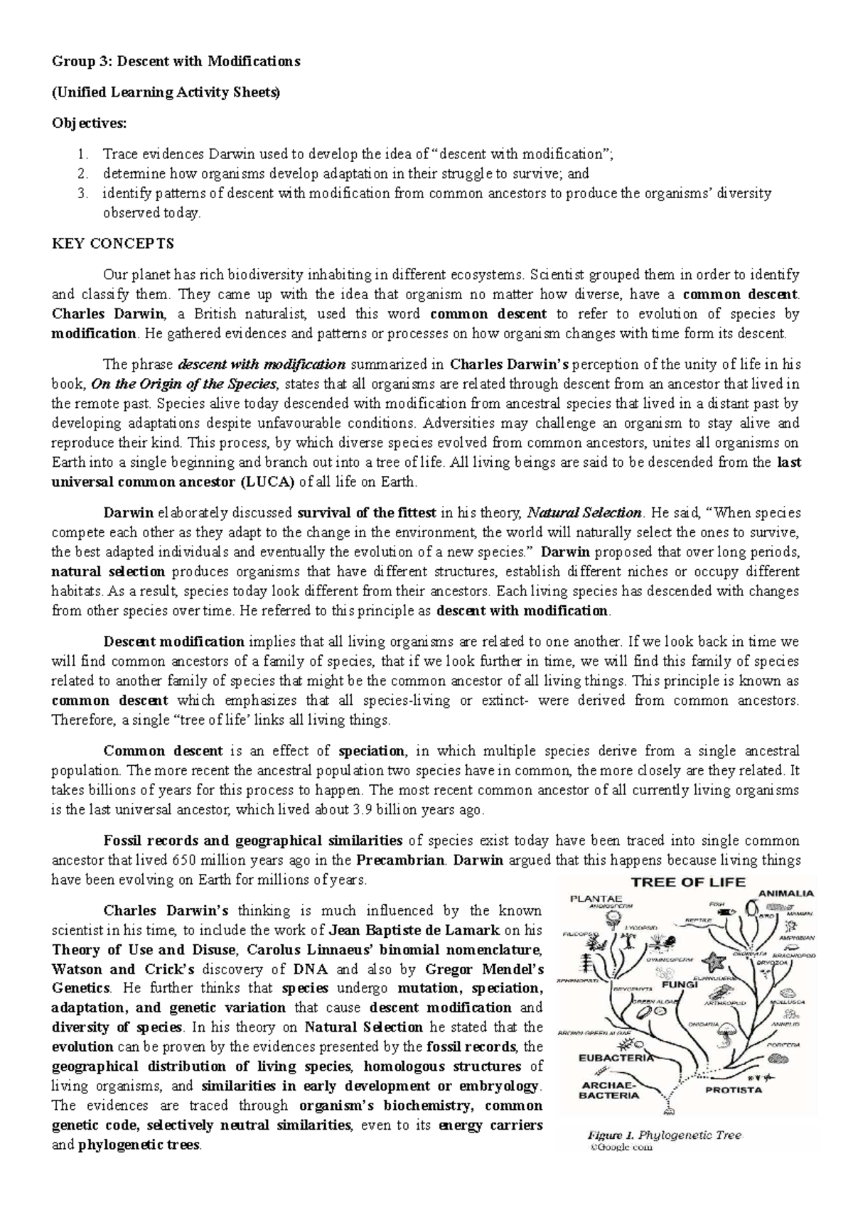 BIO 102: General Biology 2 - Descent with Modifications Study Notes ...