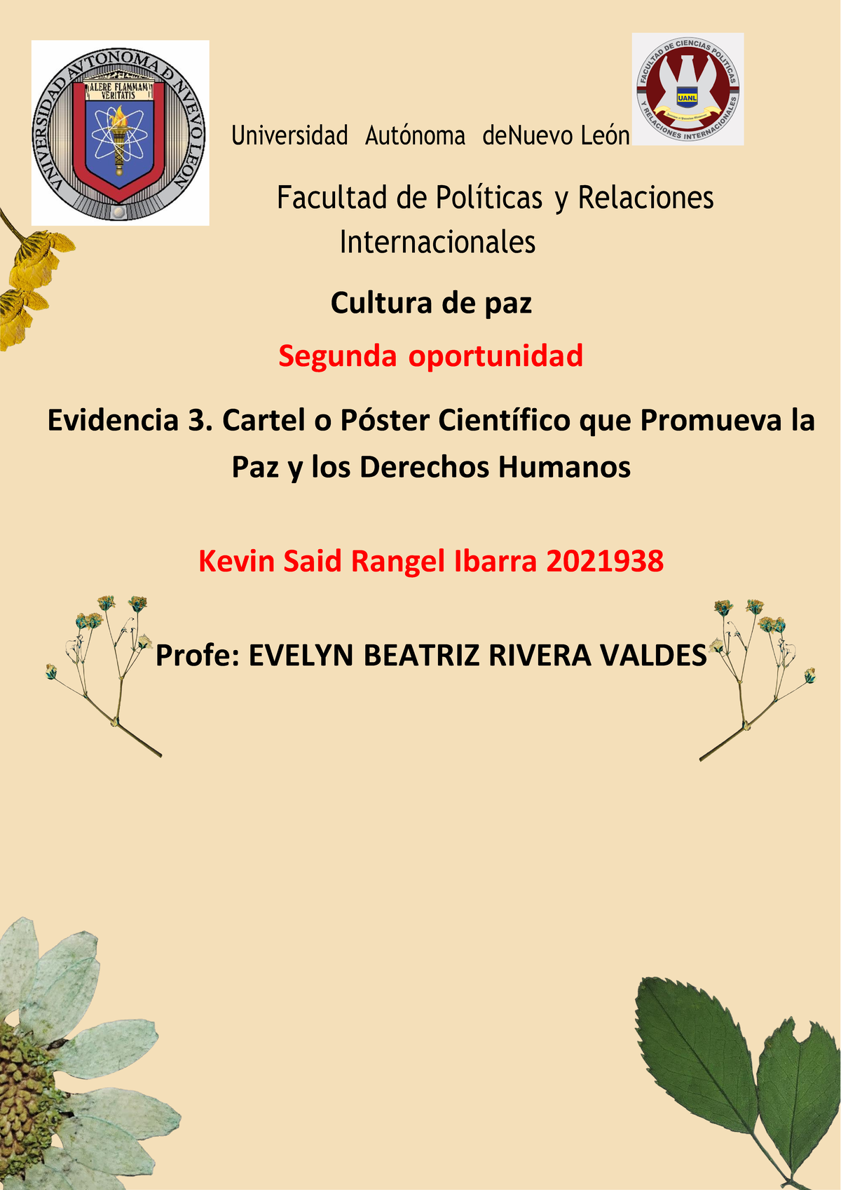 Evidencia 3: Cartel Científico sobre Paz y Derechos Humanos 2021938 - Studocu