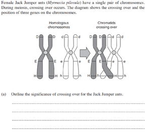 [Solved] model the process of polypeptide synthesis - HSC Biology ...
