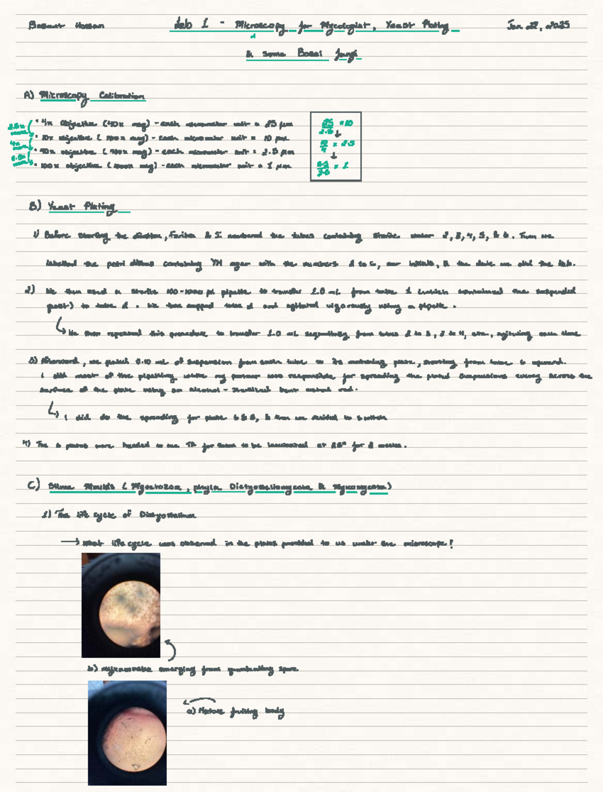 Lab 1 EE Microscopy & Yeast Plating Notes - Jan 22, 2025 - Studocu