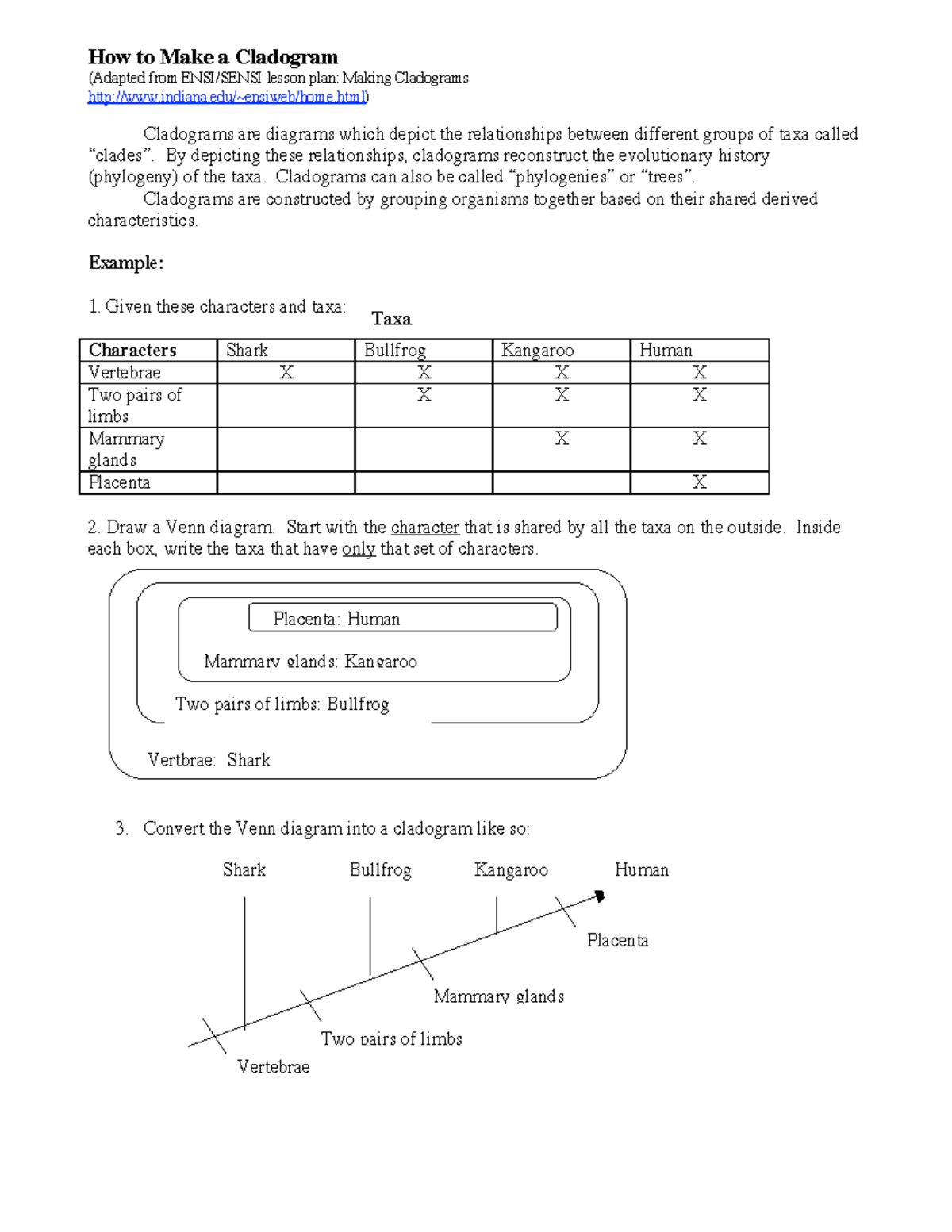 Cladogram - How to Make a Cladogram (Adapted from ENSI/SENSI lesson ...