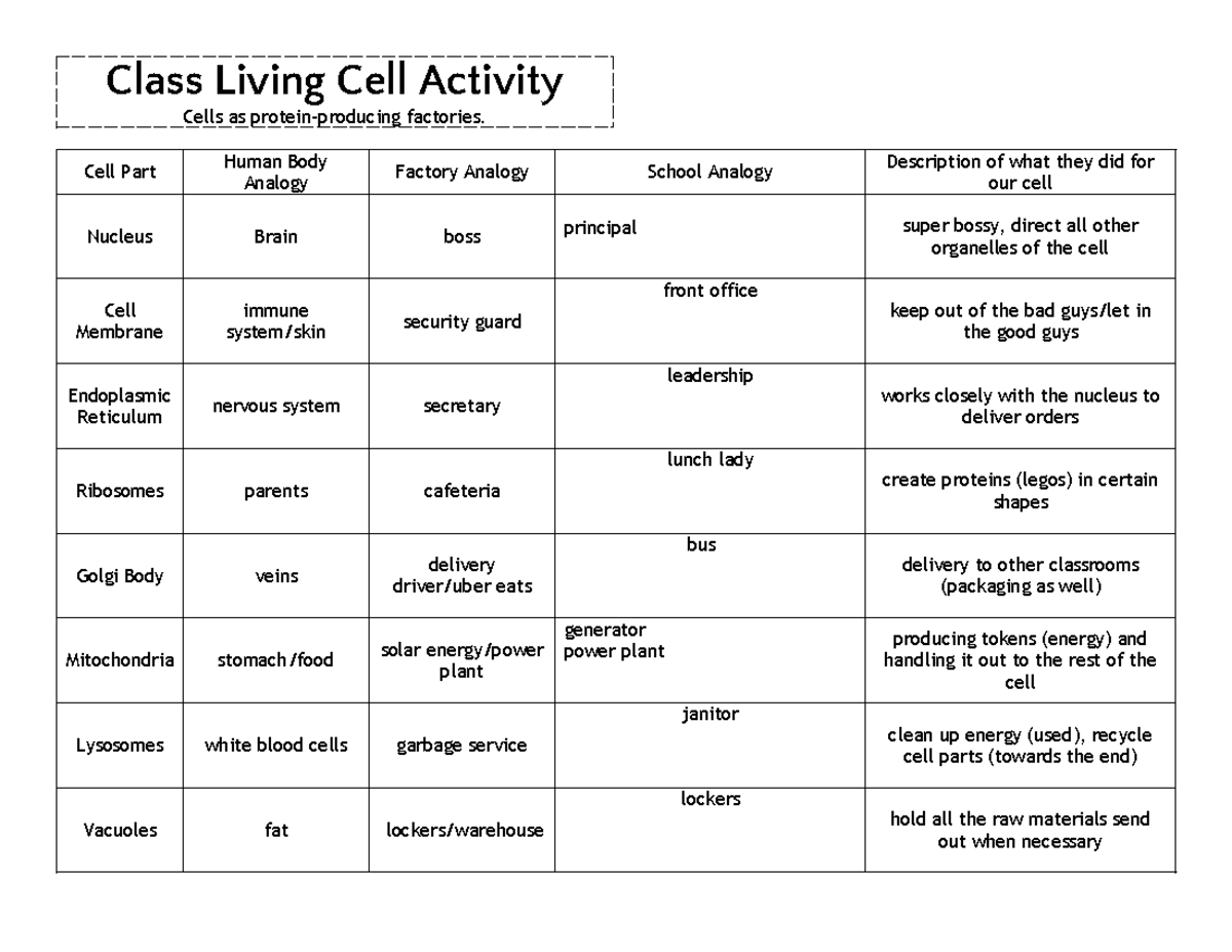 Class Living Cell Activity Worksheet: Analogy of Cell Functions - Studocu