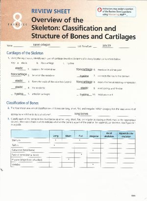 Lab Exercise #5 - Classification of Tissues Dr. Peltzer - (~ -~ 't ' Name - Lab Time/Date ...