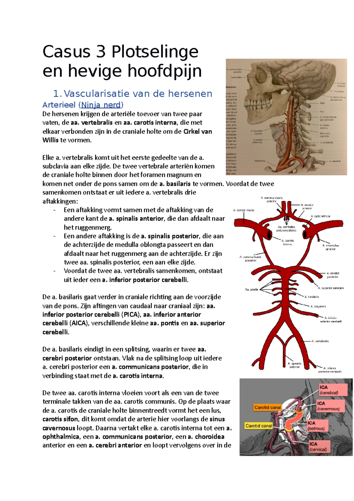 Casus 3: Plotselinge en Hevige Hoofdpijn - Vascularisatie en Anatomie ...