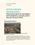 [Solved] The impact of the rapid rise of informal settlements and ...