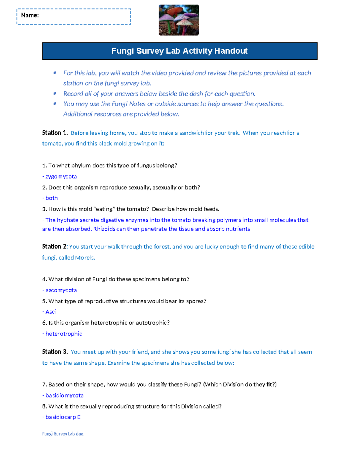 Fungi Survey Lab Activity Handout (Biology 101) - Studocu