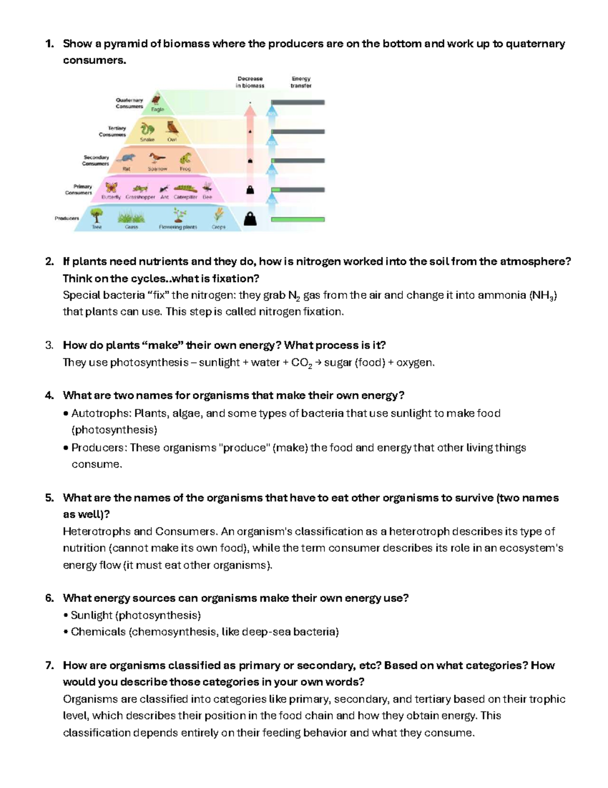Biomass Pyramid & Nutrient Cycles: Study Guide (Bio 101) - Studocu