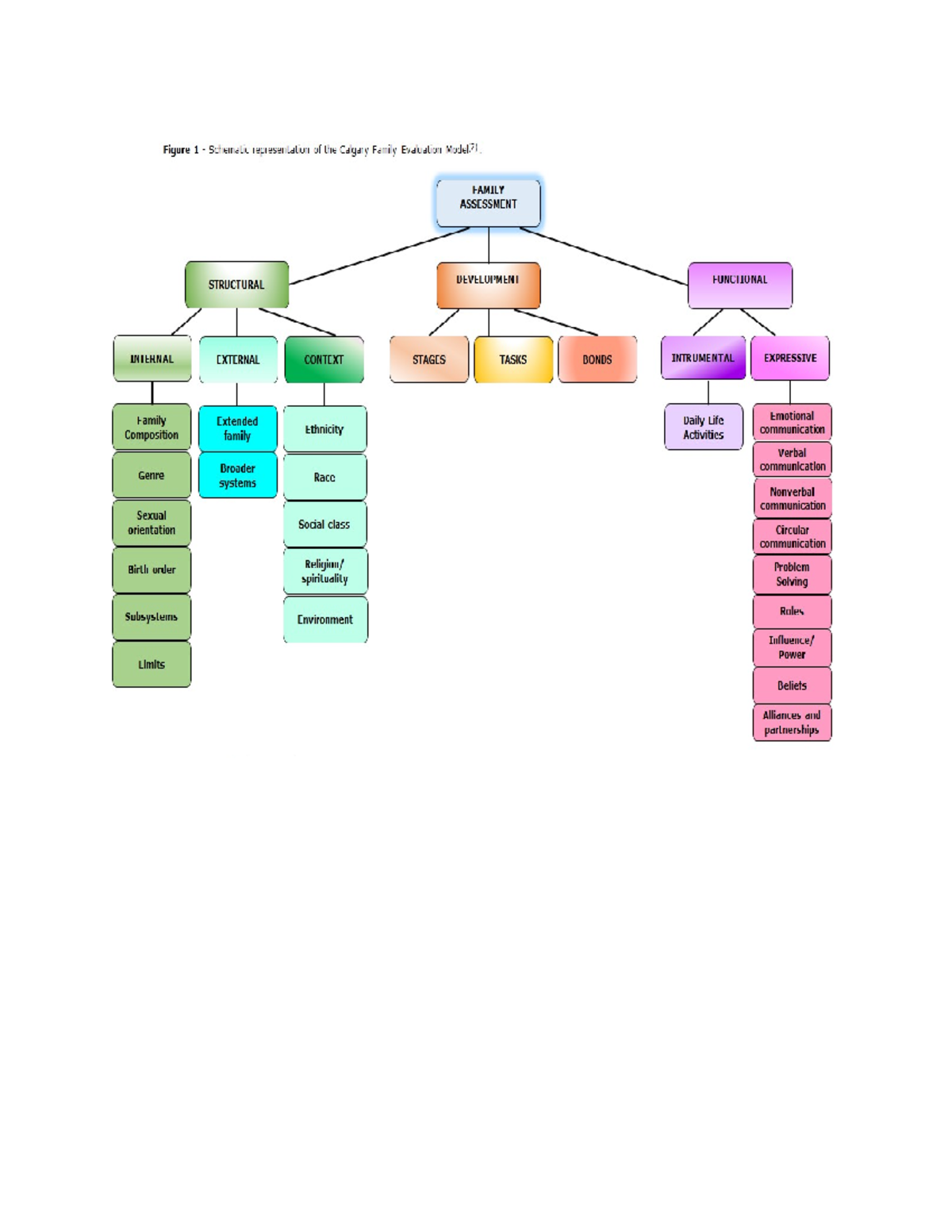 Calgary Family Assessment Final Summary (Interview Insights) - Studocu