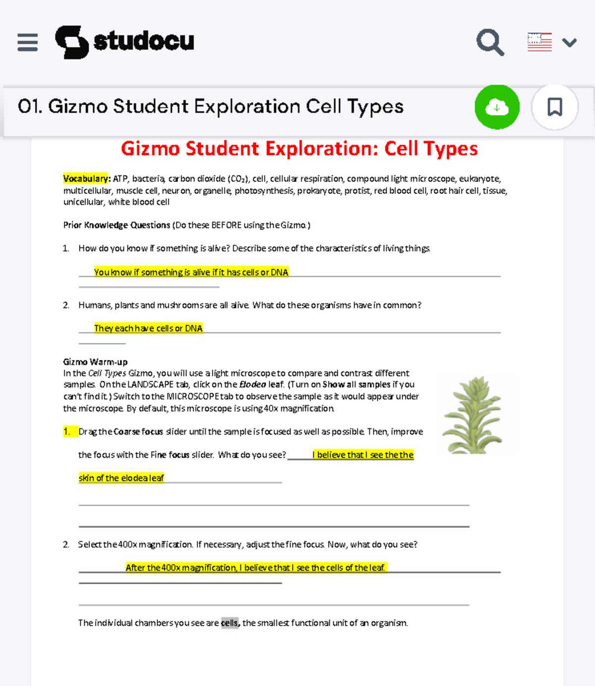 01. Gizmo Student Exploration: Understanding Cell Types and Functions ...
