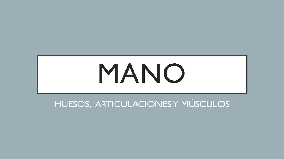 Anatomía del Recto: Generalidades y Relaciones Anatómicas - Studocu