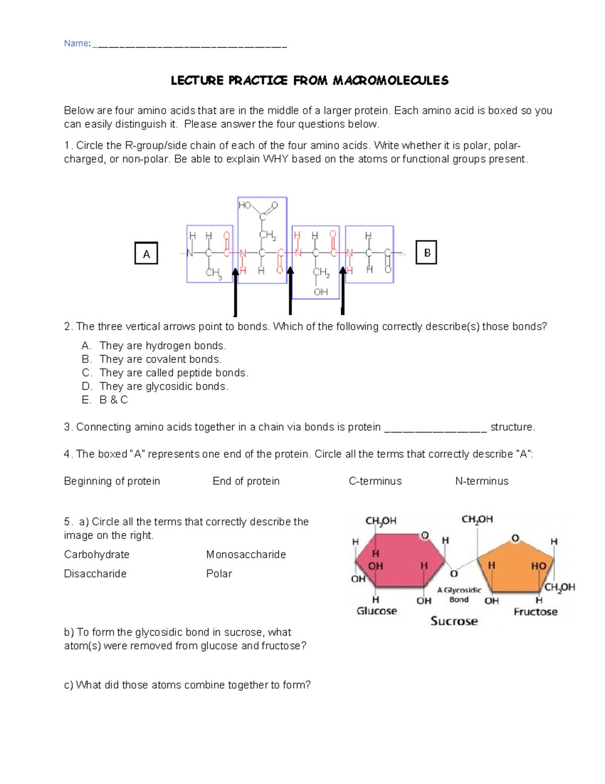 LECTURE PRACTICE: AMINO ACIDS & PROTEIN STRUCTURE - Studocu