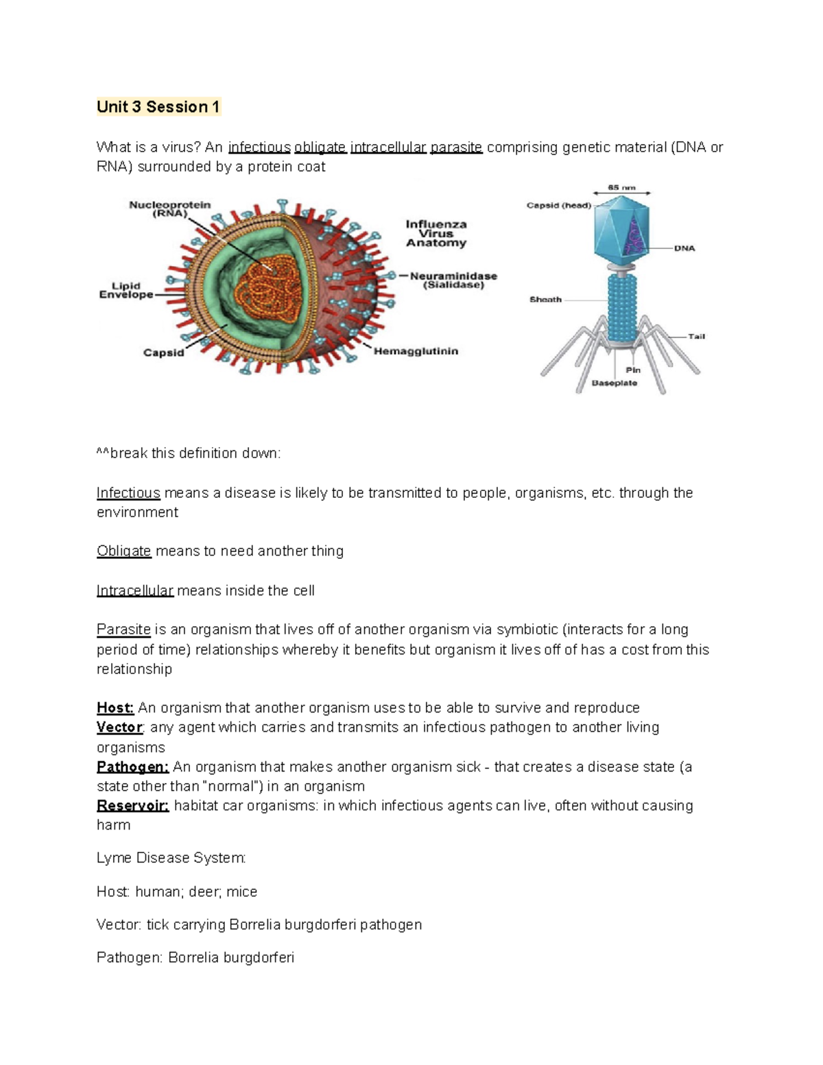 Biol 112 Unit 3 Session 1 Review: Understanding Viruses and Hosts - Studocu