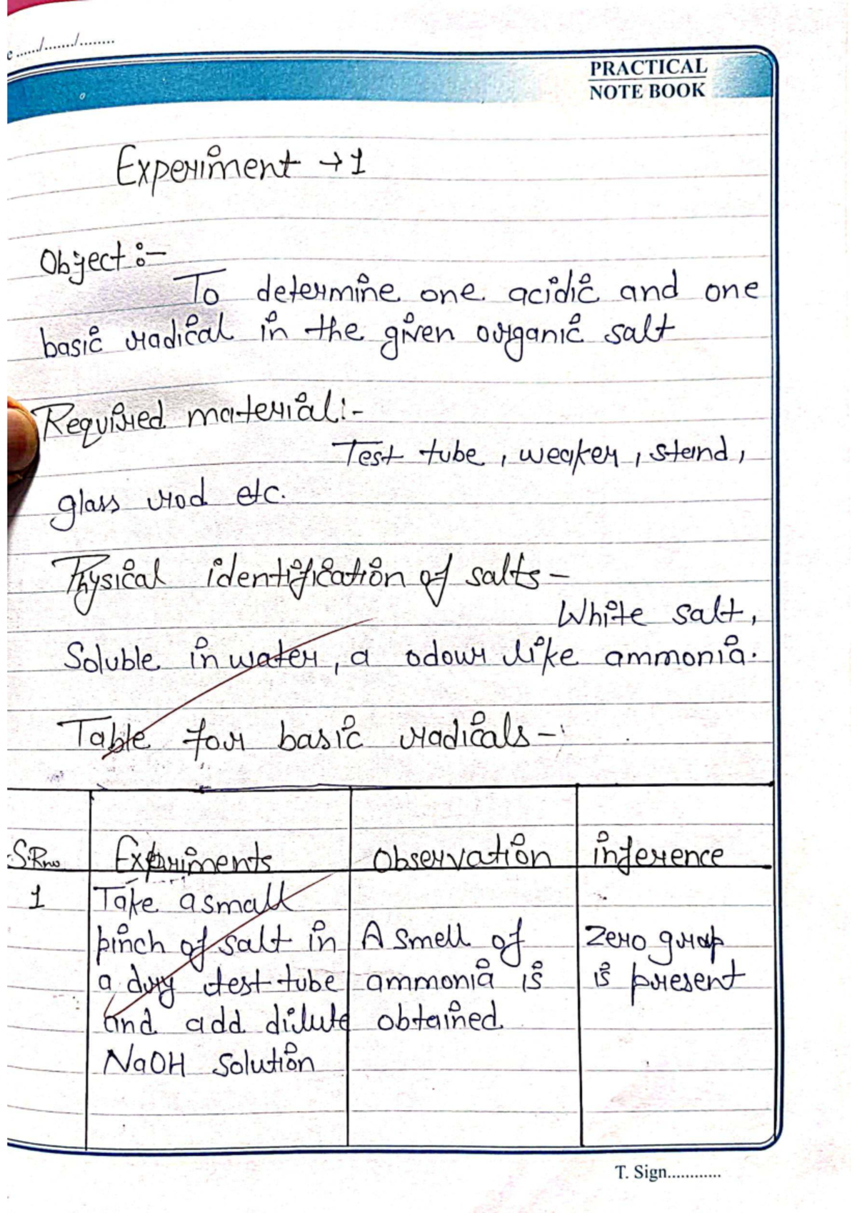 Class 12 Chemistry Practical Notebook: Acidic & Basic Radicals Analysis ...