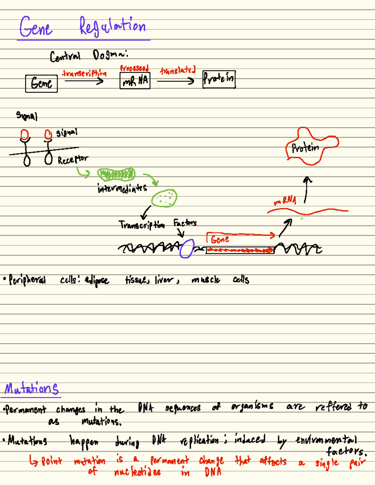 Unit 2 Replication - Summary Principles Of Biology I - Gene Regulation ...