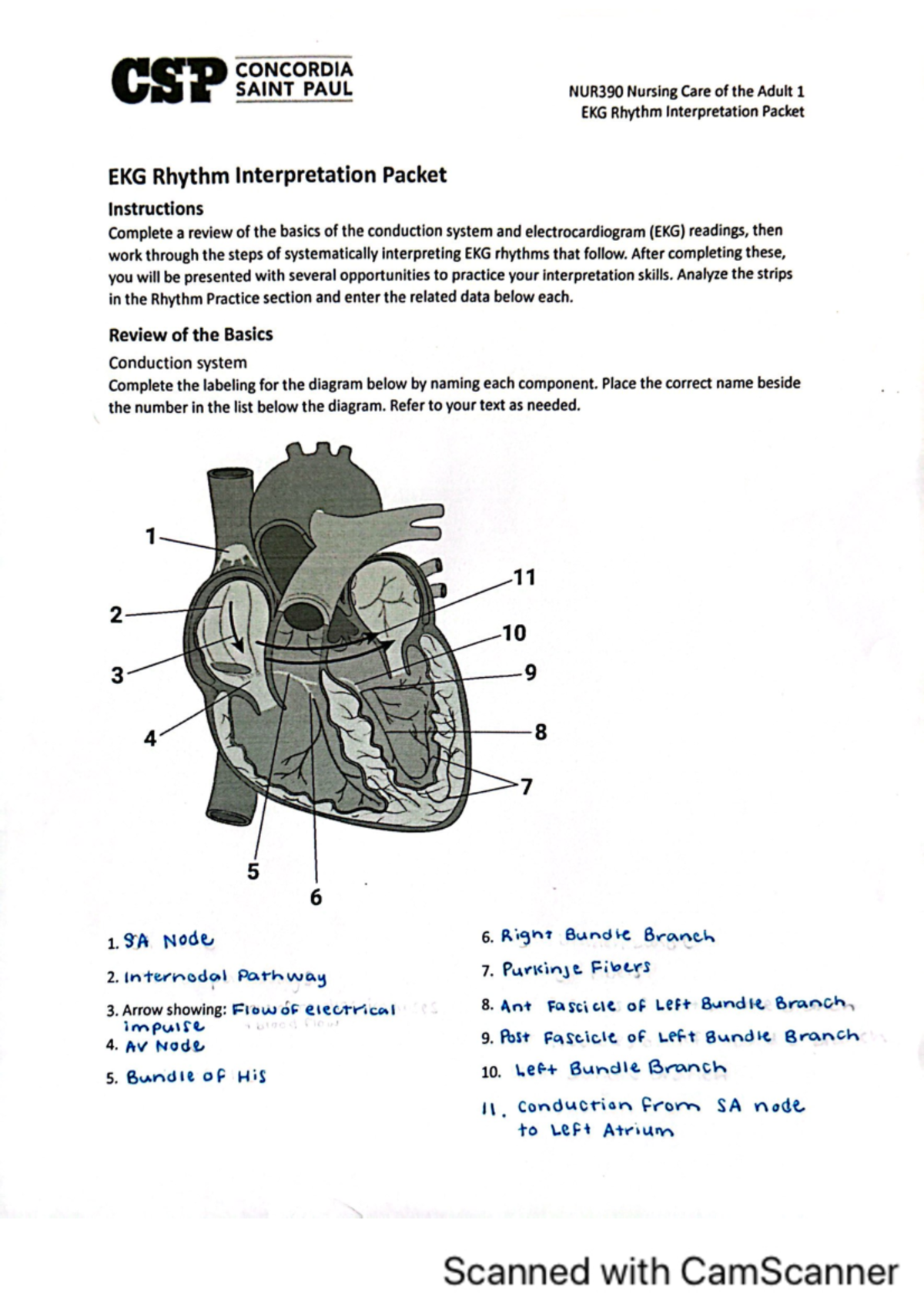 NUR390 EKG Rhythm Interpretation Packet & Practice Exercises - Studocu