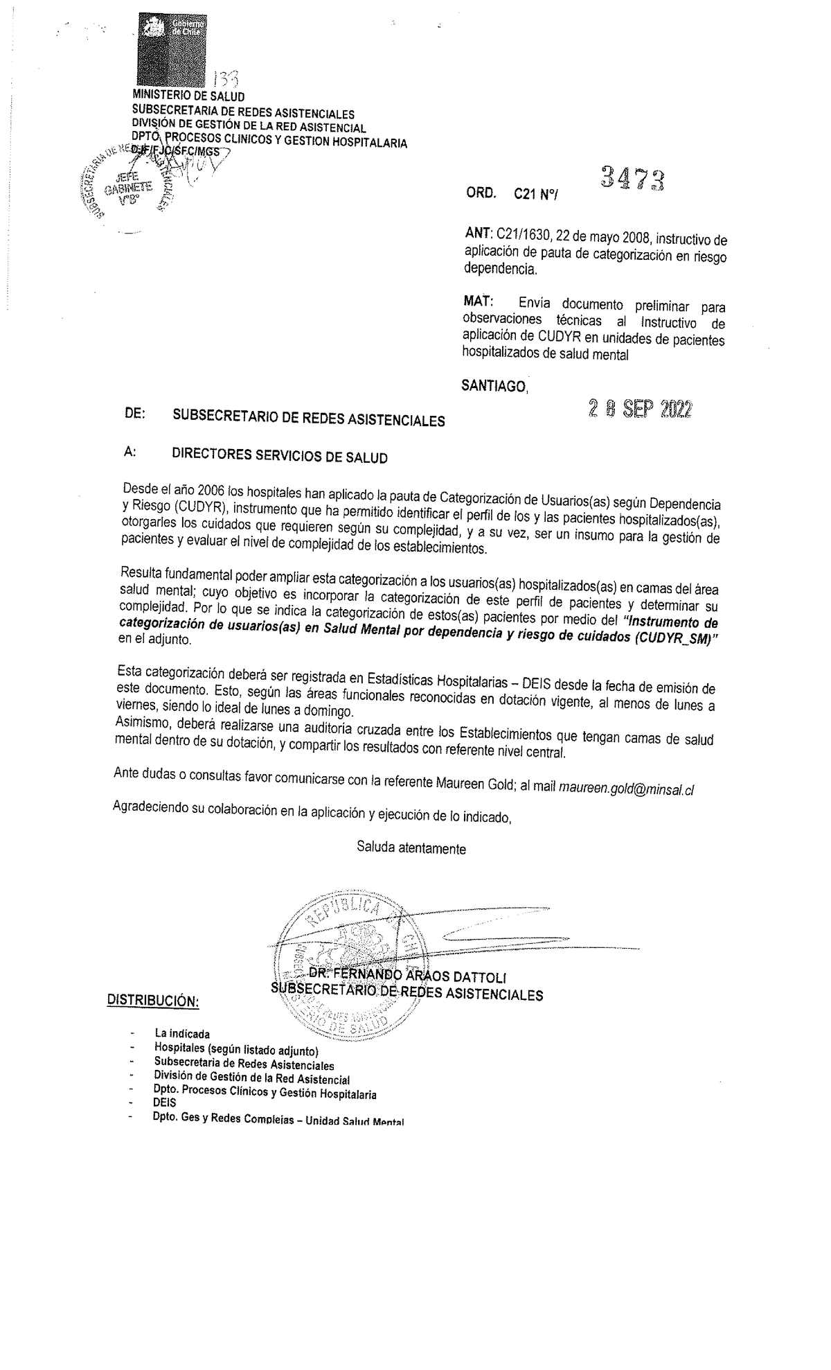 CUDYR - Categorización de Pacientes en Salud Mental: Instructivo 2022 ...