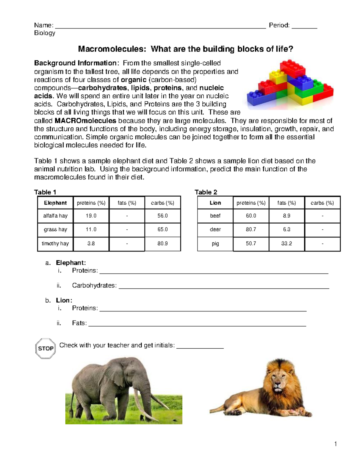 13 Biology Macromolecules - Worksheet on Building Blocks of Life - Studocu