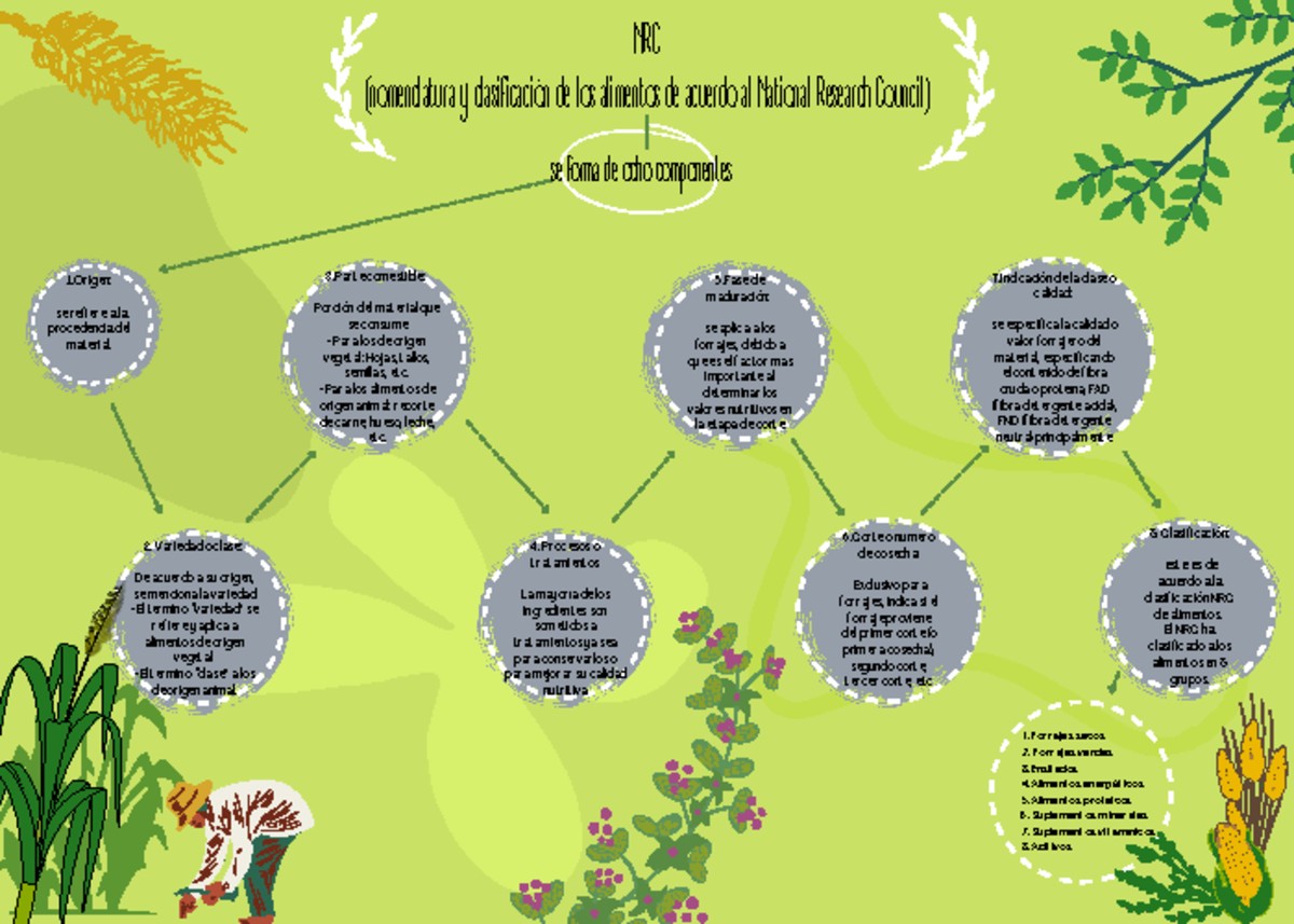 mapa mental del NRC y sus componentes - Clasificación: este es de ...