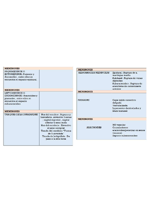 Cráneo - Cráneo: Huesos. Endobase, exobase. Regiones topográficas ...