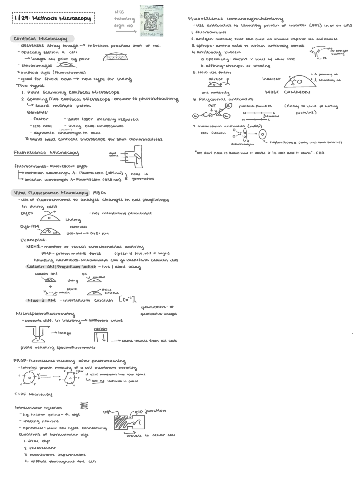 Cell Bio - UTS 29 Microscopy Lecture Notes on Fluorescence Techniques ...