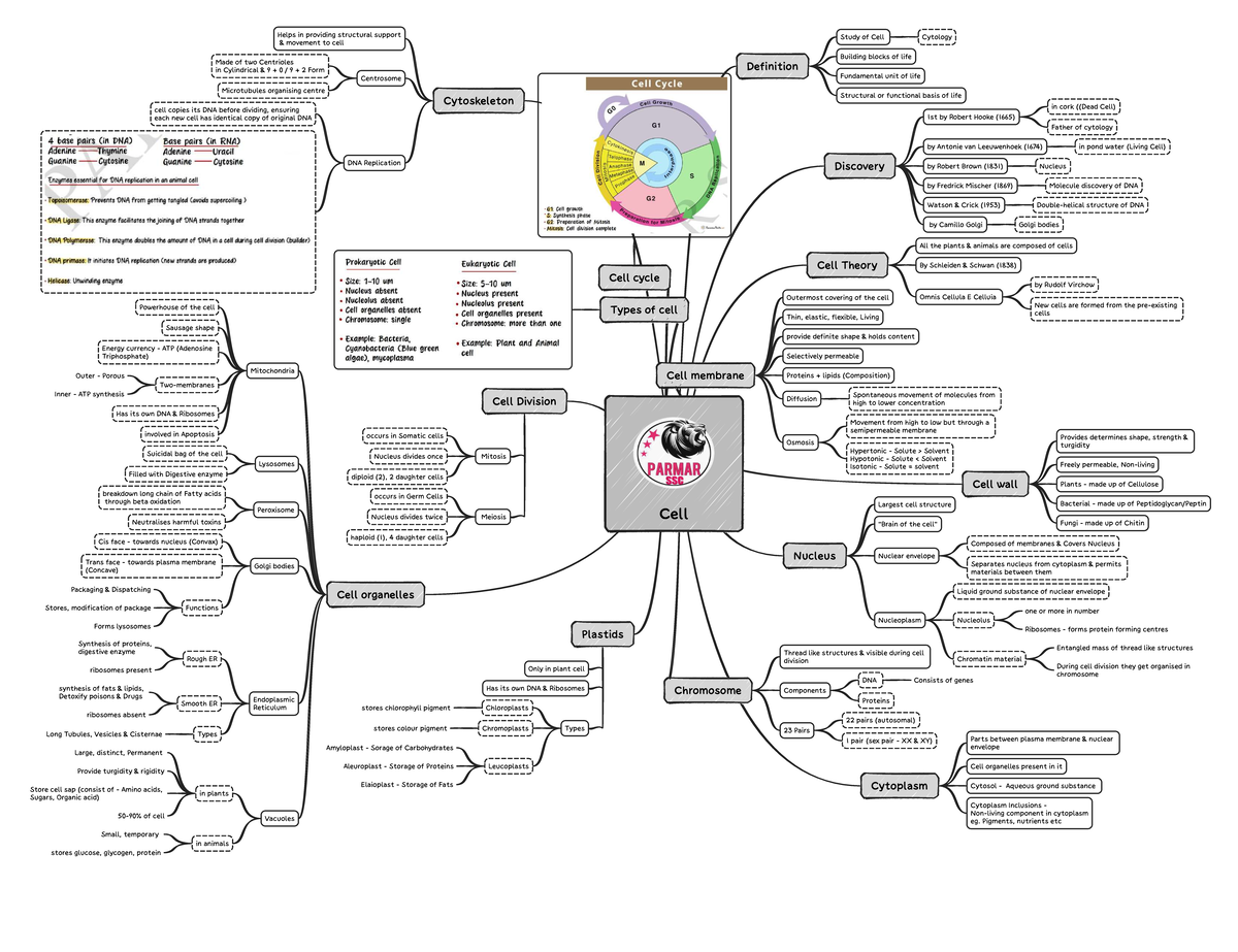 Biology FRB 2.O: Comprehensive Study of Cell Structure and Function ...