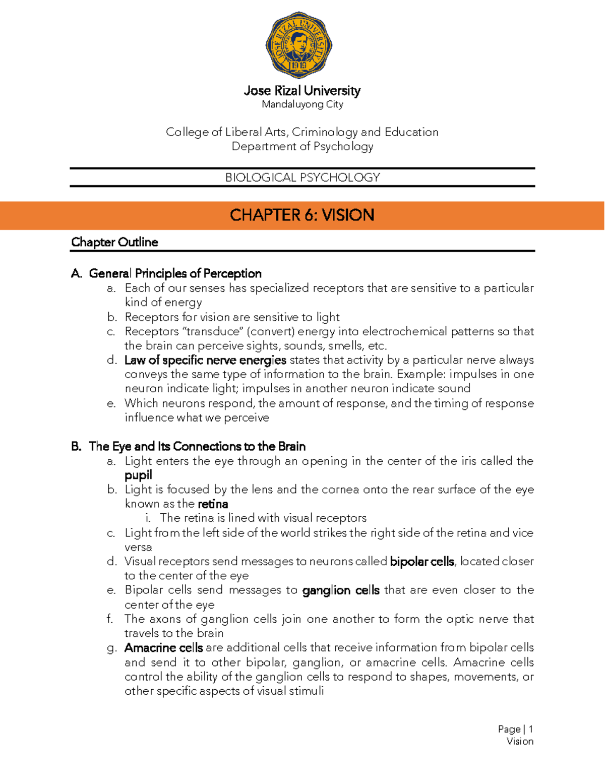 Chapter 6 - Vision Handout - Mandaluyong City College of Liberal Arts ...