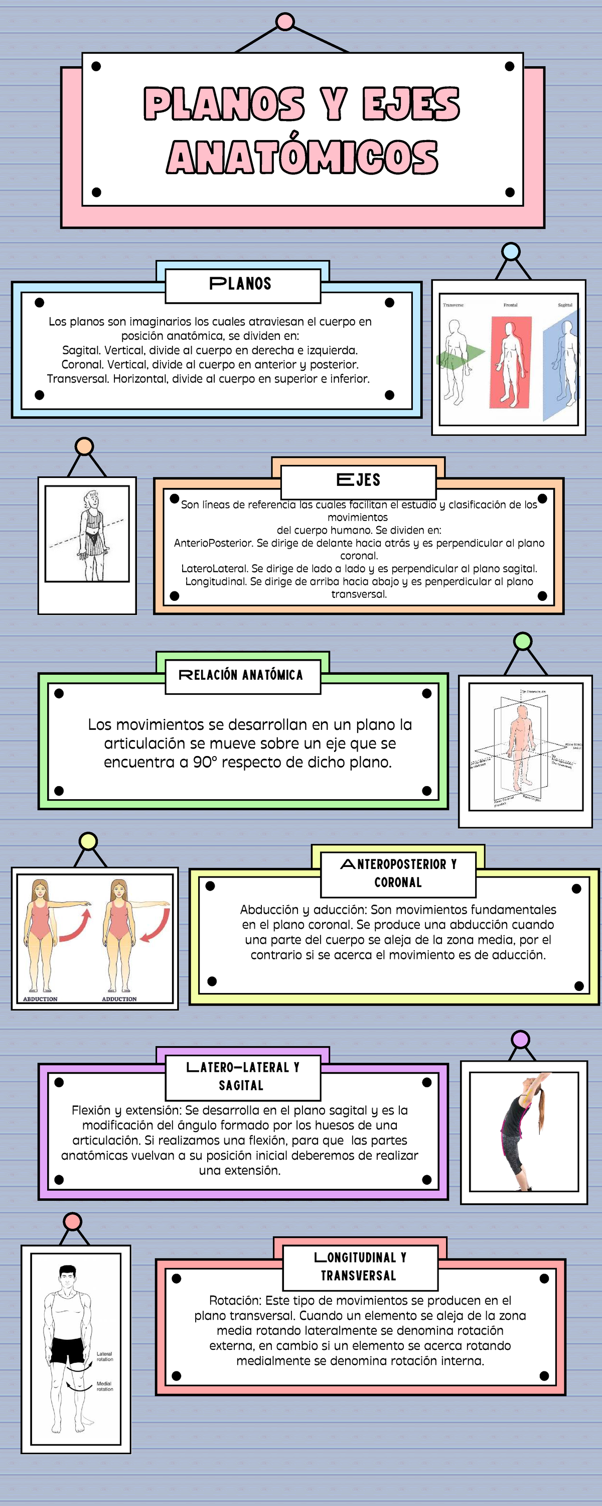 Planos y Ejes Anatómicos: Guía Completa de Movimientos Humanos - Studocu