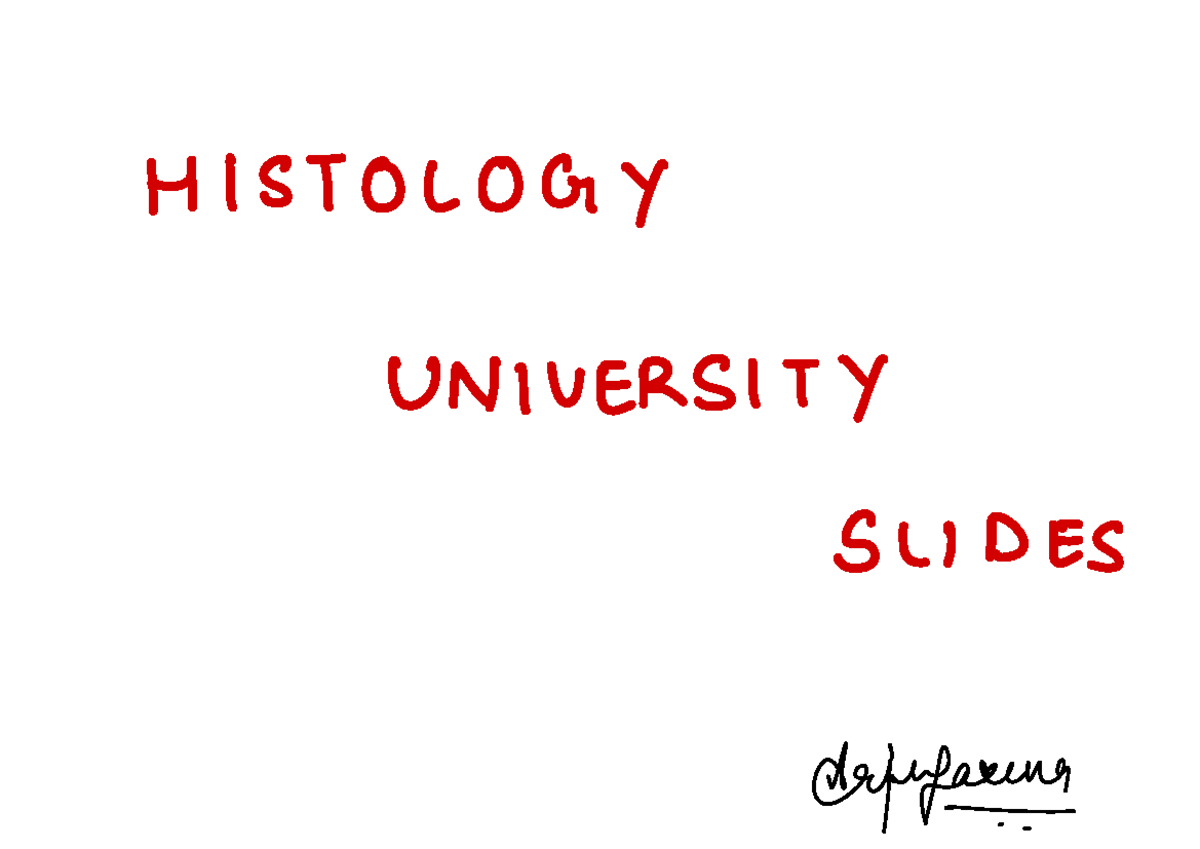 Histology University Slides: Identifying Muscle and Gland Features ...