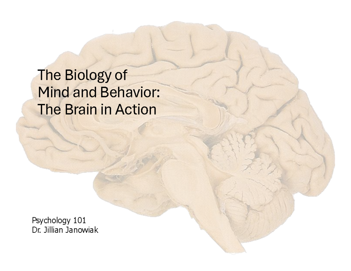 Psychology 101: Lecture on The Biology of Mind & Behavior - Studocu