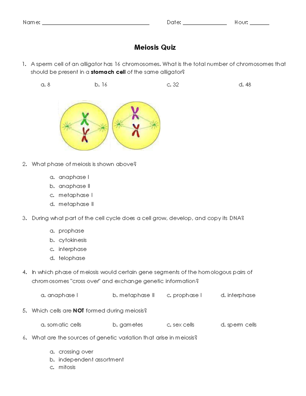 BIO101 Meiosis Quiz - Summative Assessment Questions and Answers - Studocu