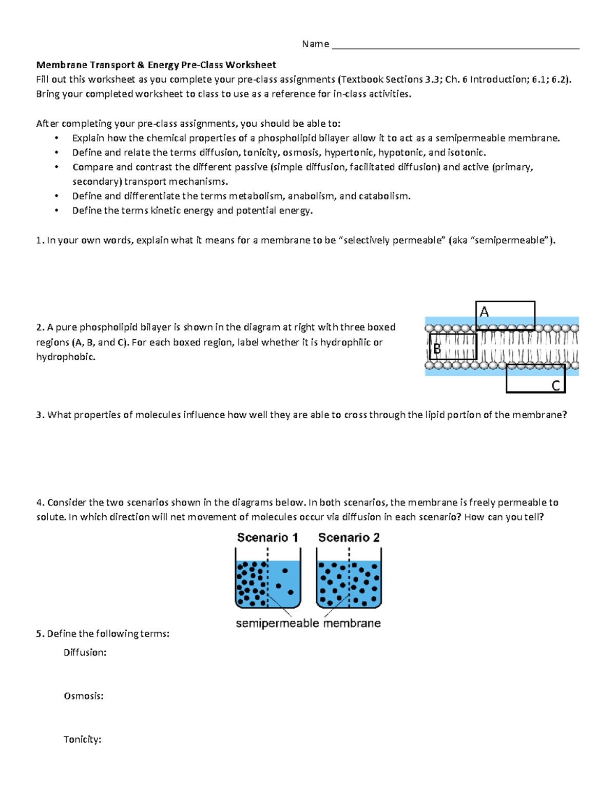Week 2b Membrane Transport & Energy Worksheet Guide - Studocu