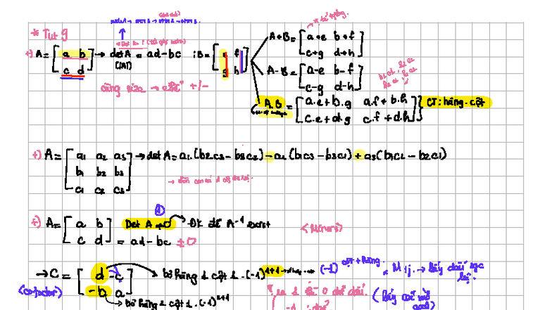 Matrix Determinants and Inverses: OPTN 2 Tutorial Notes - Studocu