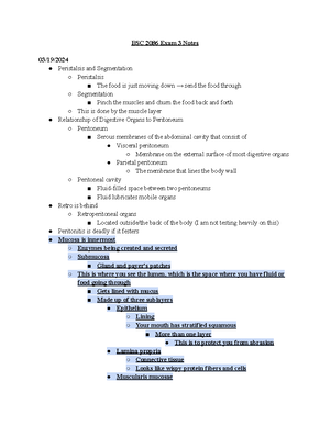 Respiratory System Overview: Structure, Function, and Anatomy Insights - The Respiratory System ...